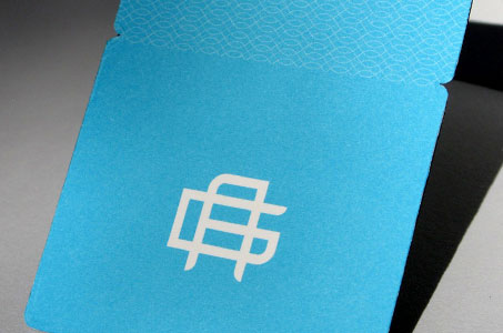 Aslan Graphics Business Cards - PaperSpecs