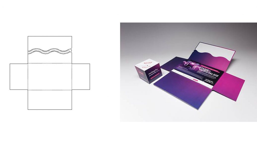 curved-zip-strip - PaperSpecs