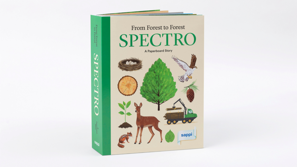 Pop-Up ‘From Forest to Forest’ Book