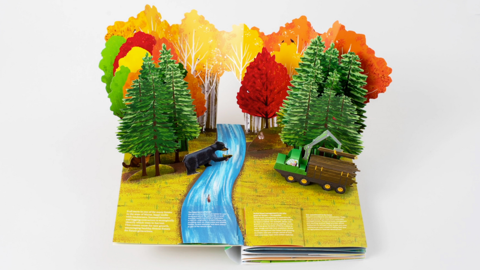 Pop-Up ‘From Forest to Forest’ Book