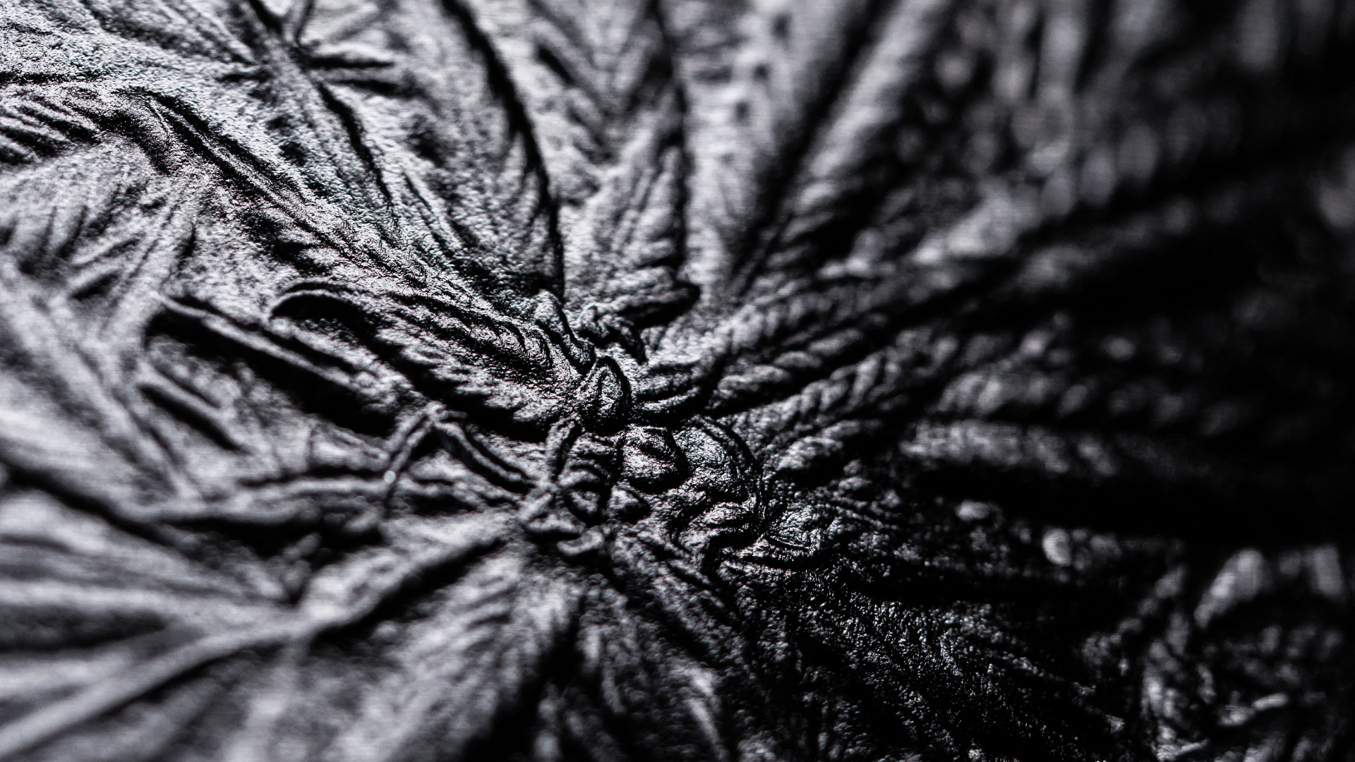 Fabulous Foiled ‘Iconic’ Cannabis Packaging | PaperSpecs